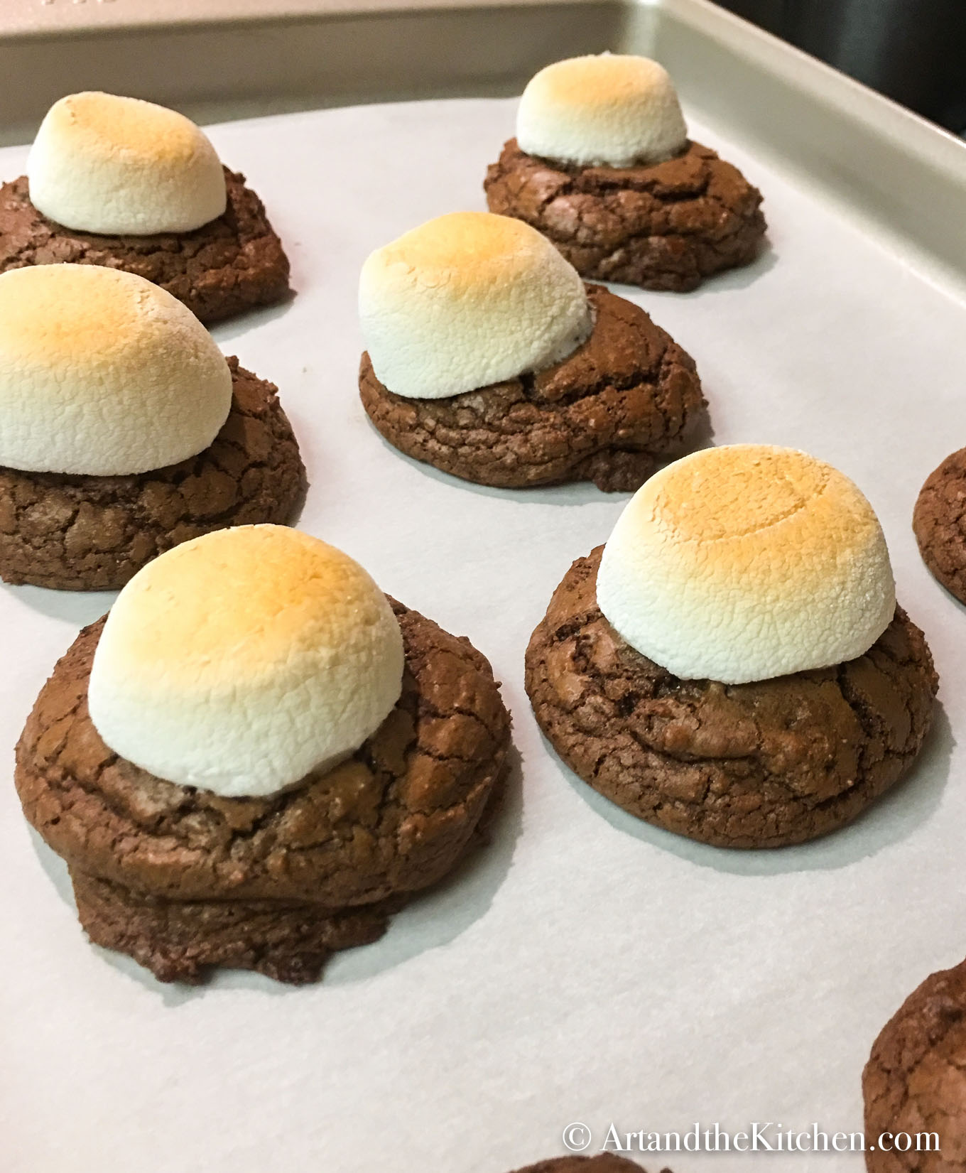 Hot Chocolate Cookies | Art and the Kitchen