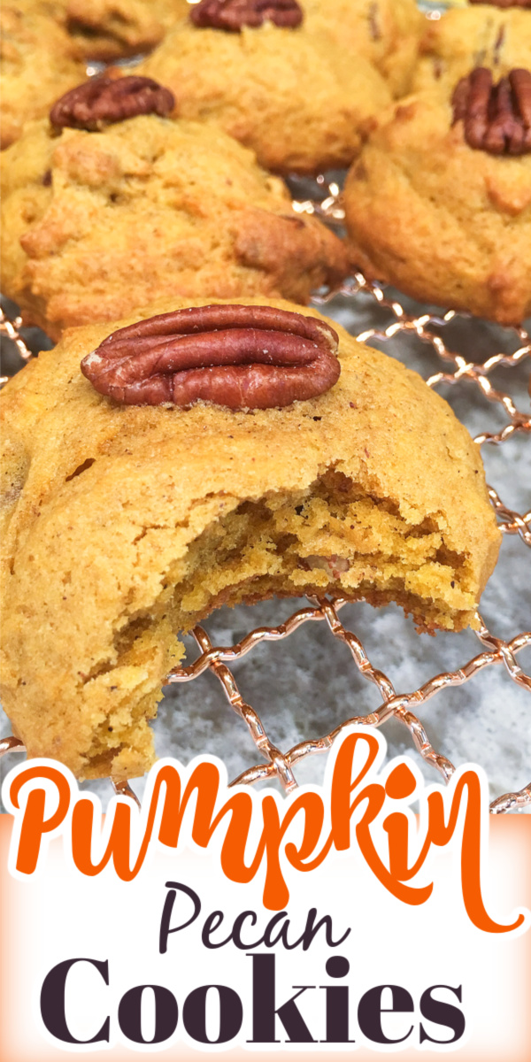 Pumpkin Pecan Cookies - Art and the Kitchen