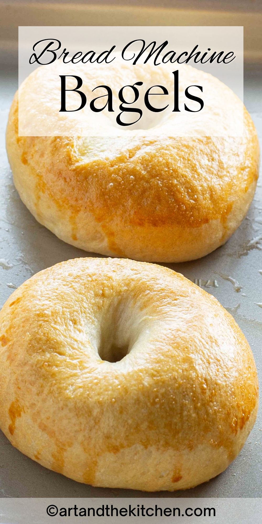 Bread Machine Bagels - Art and the Kitchen